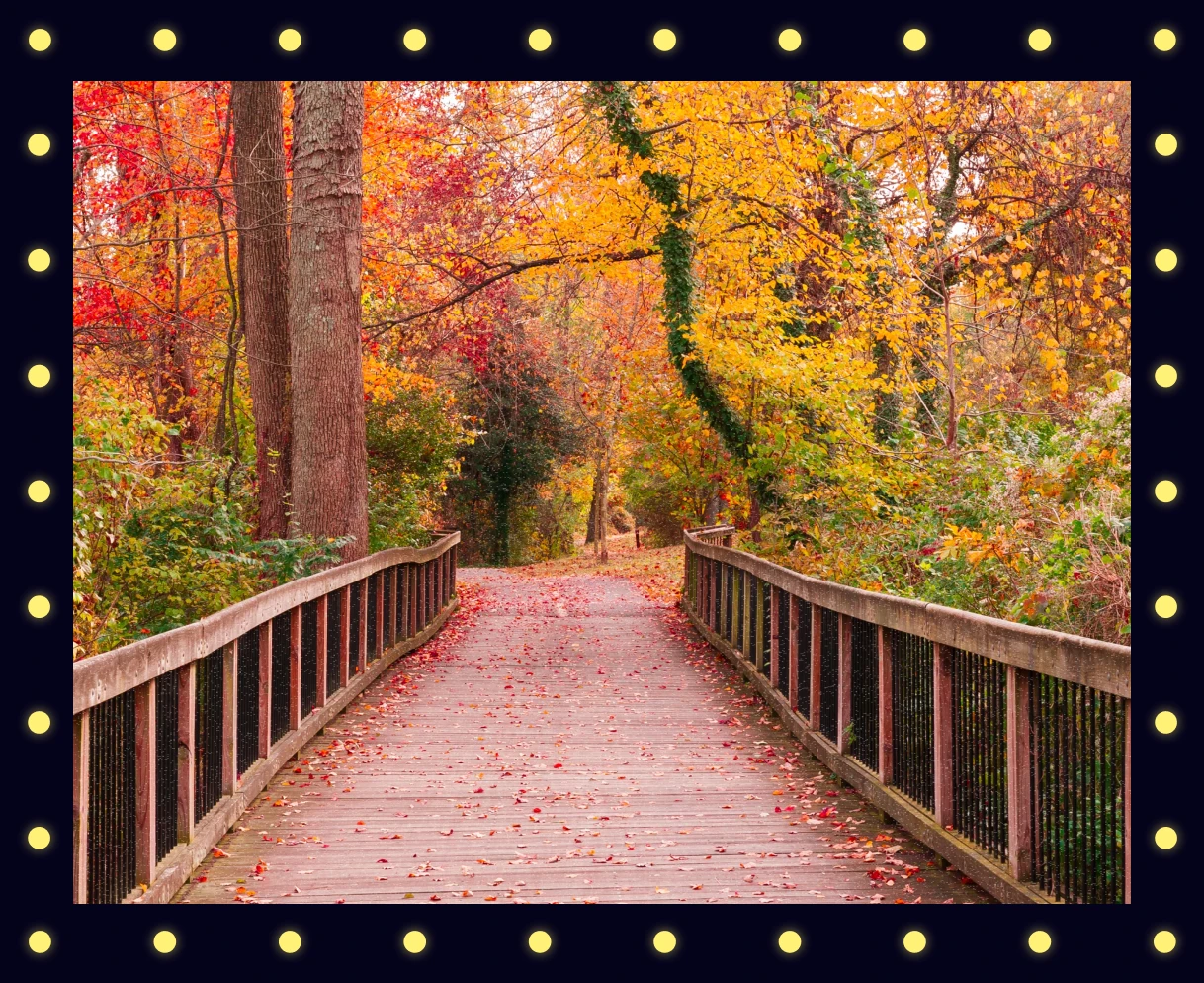 Disabled Actors in Film/Hollywood | Octane Seating