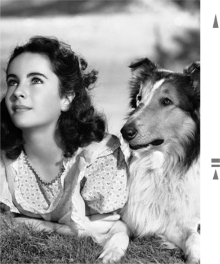 The Ultimate Guide to Movies for Dog Lovers | Octane Seating