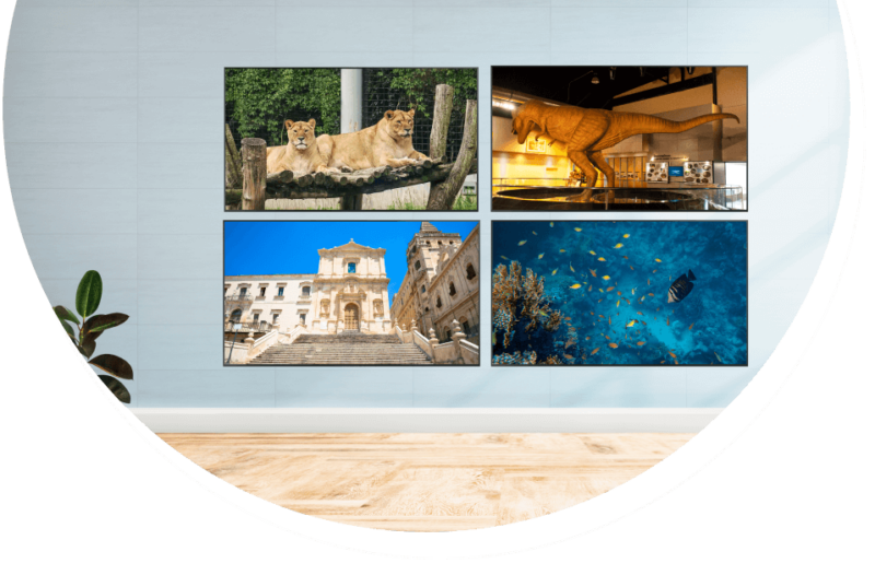 Exploring the World Through Virtual Field Trips | Octane Seating