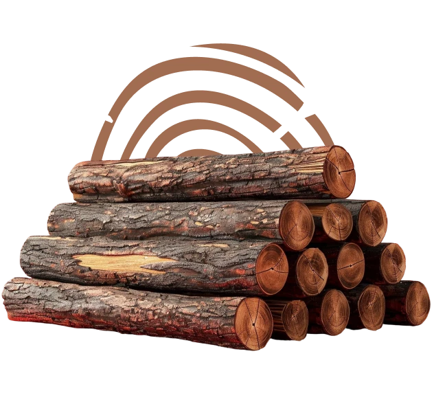 Choosing the Best Wood for Furniture | Types of Wood